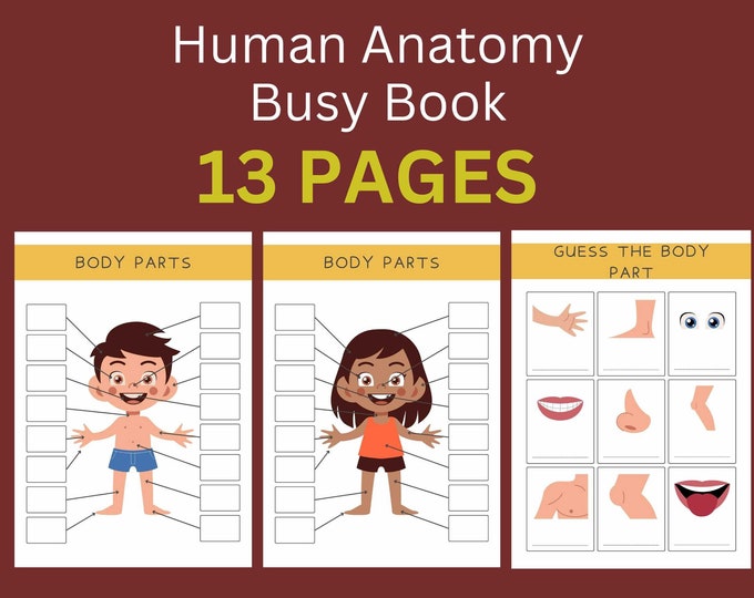 Anatomy Worksheet Bundle | Build and Label the Human Body | Human ...