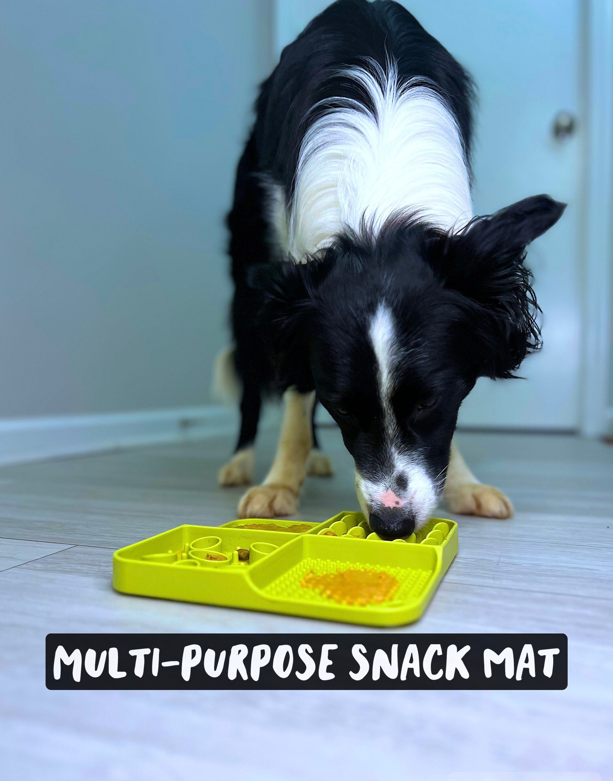 Multi-purpose Snack Mat - Dog Lick Mat/slow Feeder - Etsy