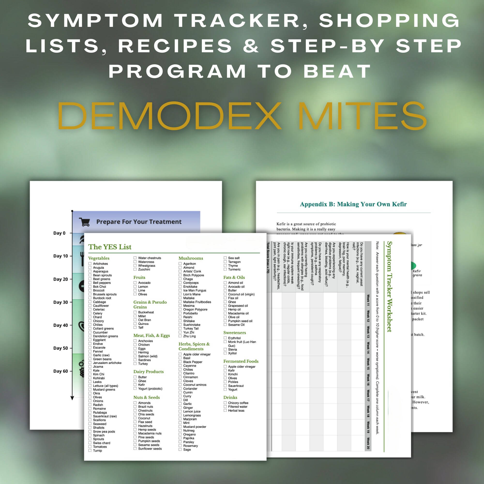 Demodex Mite Solution Book: 90-day Treatment Program (digital Download ...