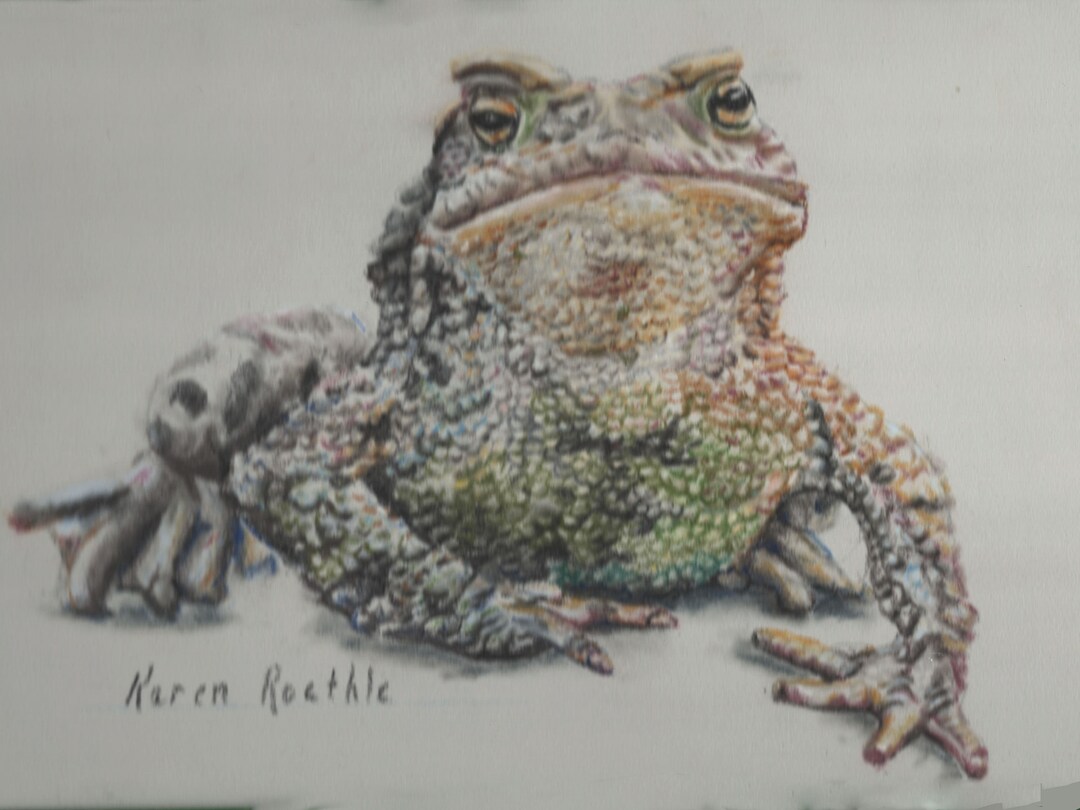 Sexy Toad Pastel Painting. Wall Art, - Etsy