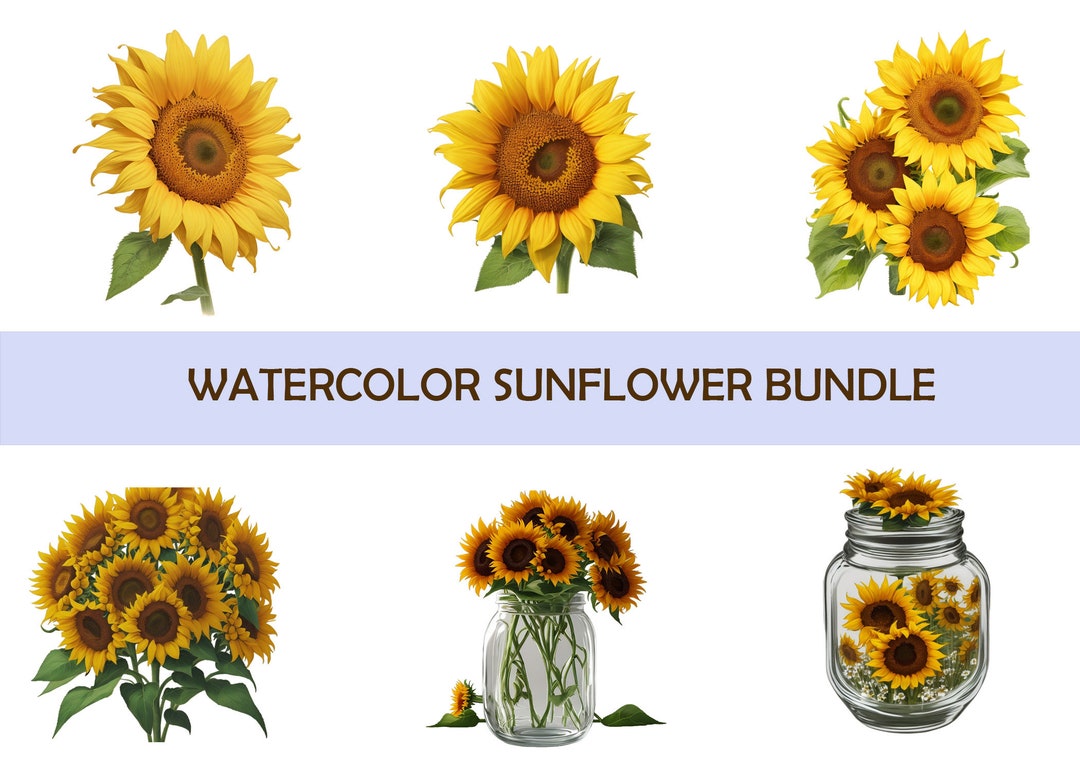 Watercolor Sunflowers Clipart, Sunflower Floral Bouquets for Commercial ...