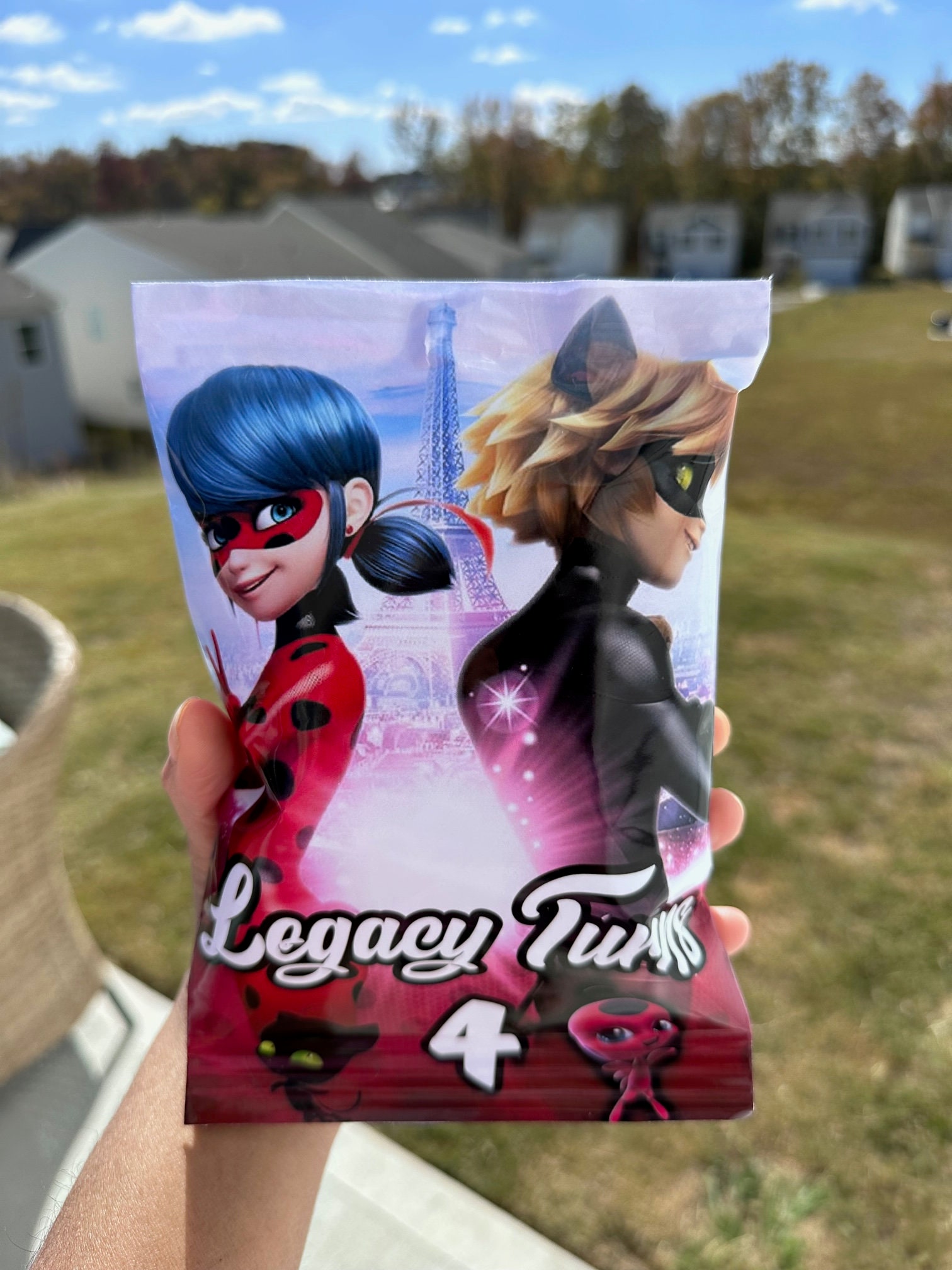 Custom Chip Bags, Personalized Chip Bags - Etsy