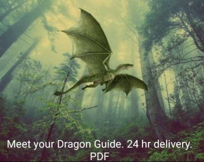 Dragon Guide Psychic Reading Personalized Spiritual Insight Discover ...