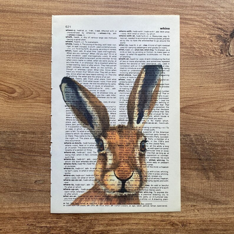 Bunny Prints, Old Dictionary Page, Rabbit Lover Gift, Rabbit Dictionary ...