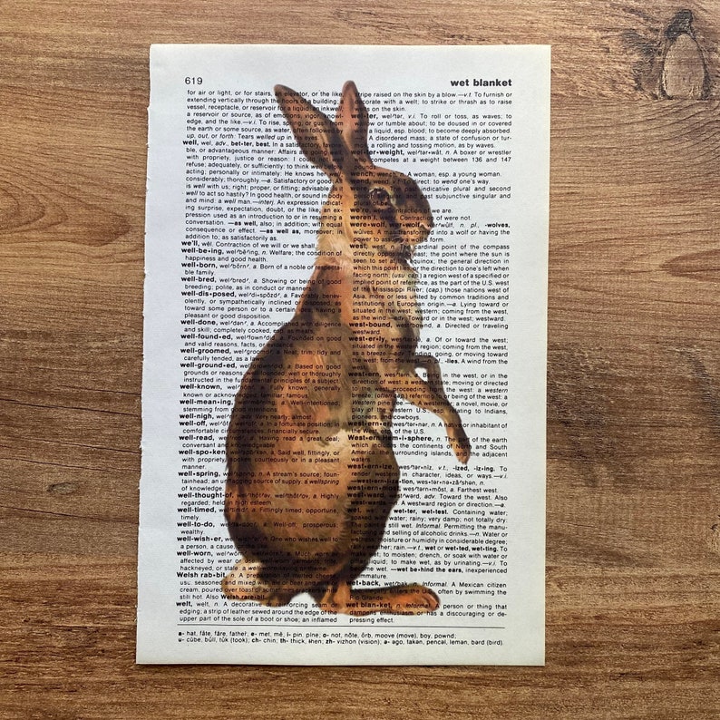 Bunny Prints, Old Dictionary Page, Rabbit Lover Gift, Rabbit Dictionary ...