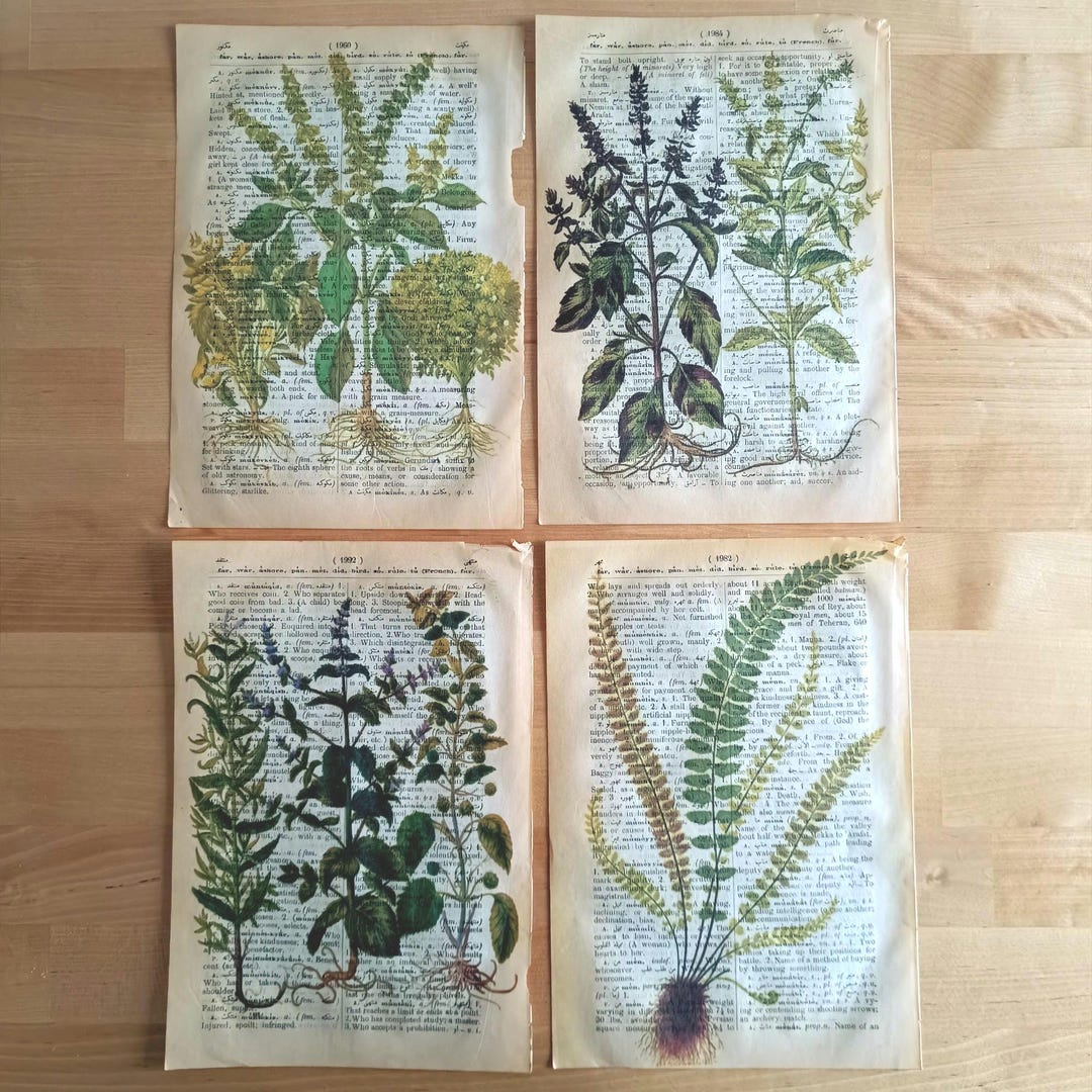 Vintage Botanical Print on 80-year-old Dictionary Page -antique Herb ...
