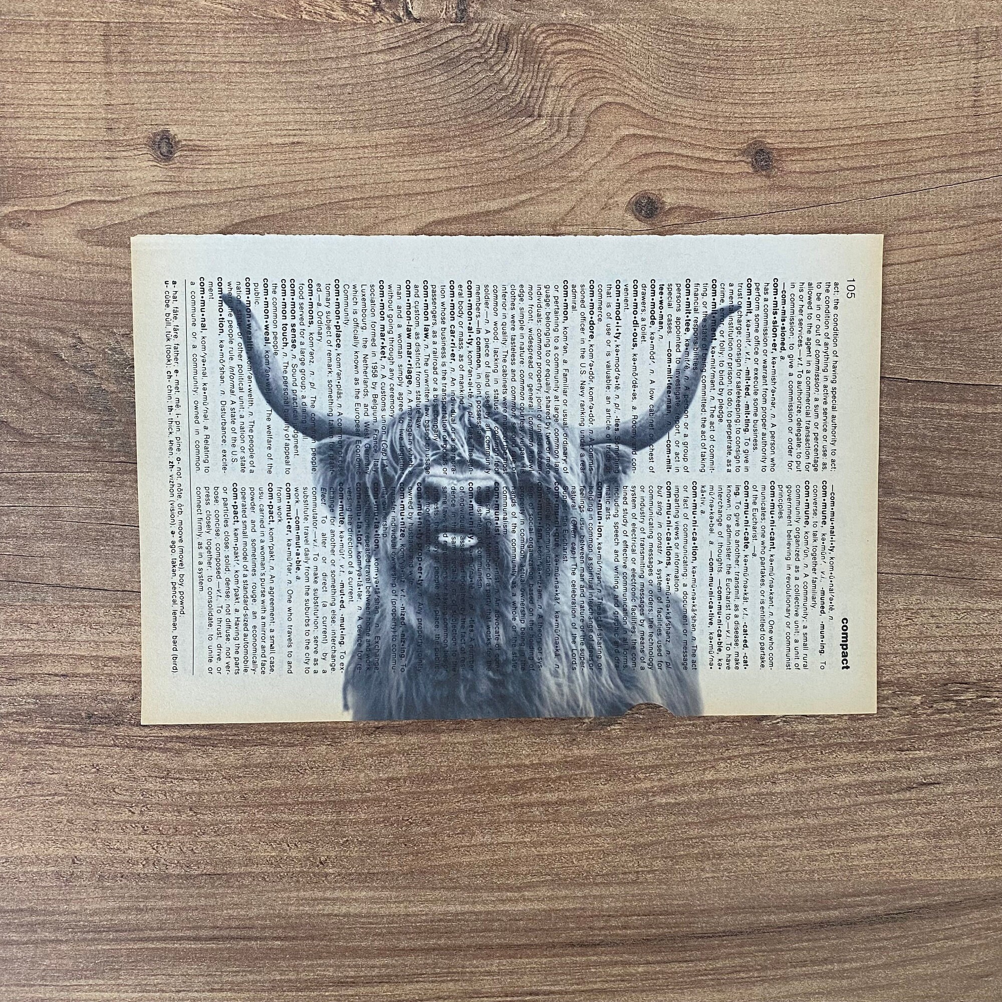 Highland Cow Poster Print Set of 6 on Old Dictionary Pages - Etsy