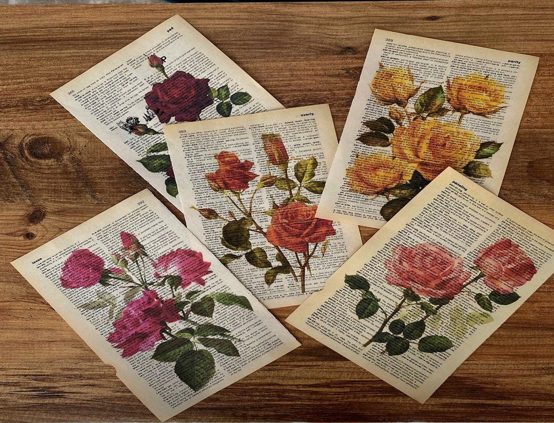 Rose Poster-roses Pictures-roses Theme on Book Page-floral Posters ...