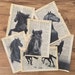 Set of 6 Horse Dictionary Print, Vintage Book Print, Horse Wall Art ...