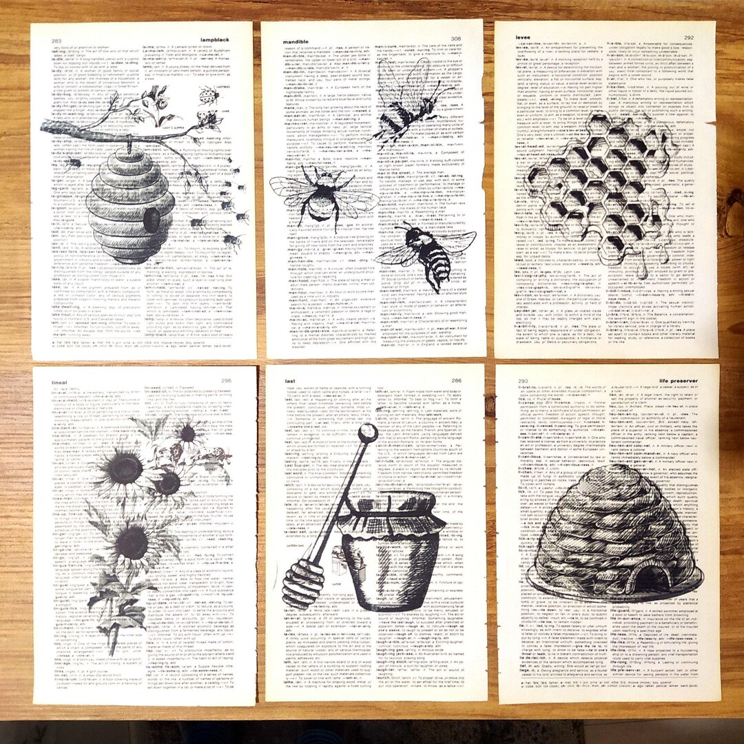 Honey Bee Theme Print on Vintage Dictionary Page, Bee Decorations - Etsy