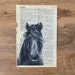 Set of 6 Horse Dictionary Print, Vintage Book Print, Horse Wall Art ...