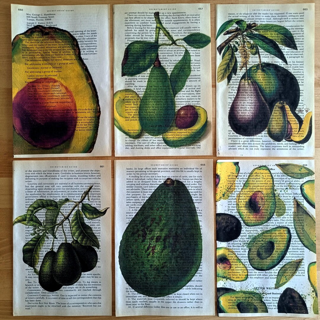 Avocado Art Print on Vintage Dictionary Page, Retro Avocado Gift ...