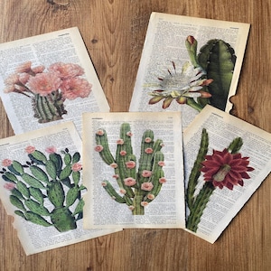 Set of 5 Cactus Art Prints on Old Dictionary Page, Cactus Theme on Book ...