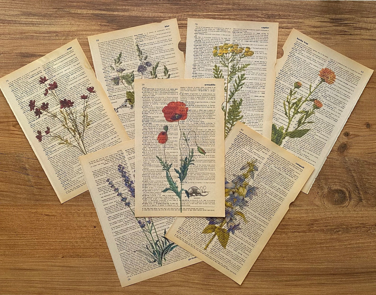 Set of 7 Wildflower Dictionary Print, Floral Collection Print, Antique ...