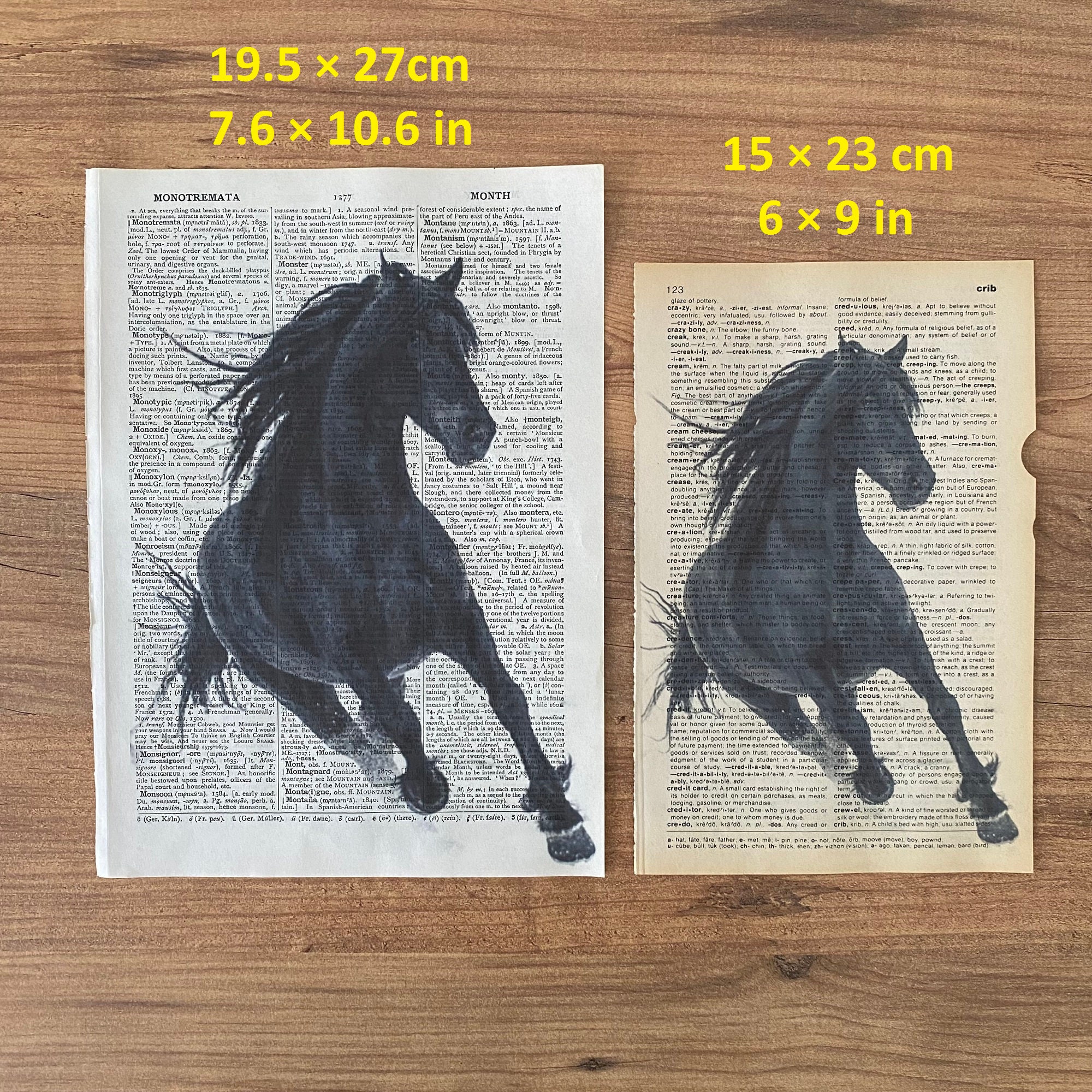 Set of 6 Horse Dictionary Print, Vintage Book Print, Horse Wall Art ...