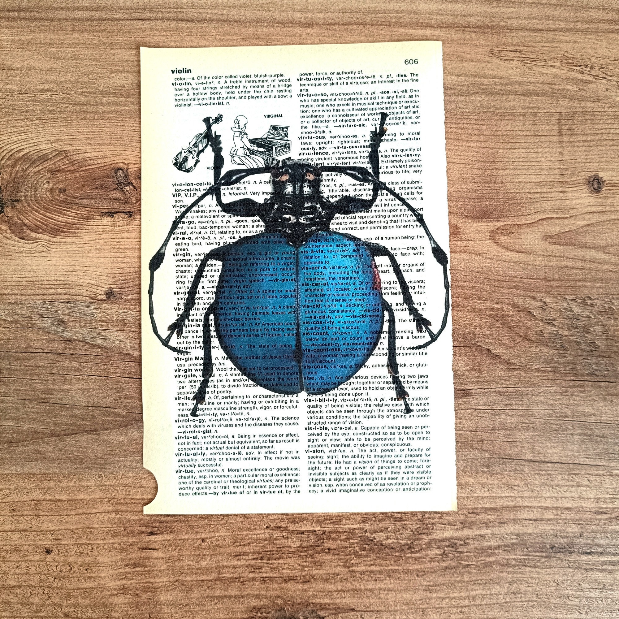 Bugs Prints on Antique Book Page, Set of 7 Insect Art Print on Old ...