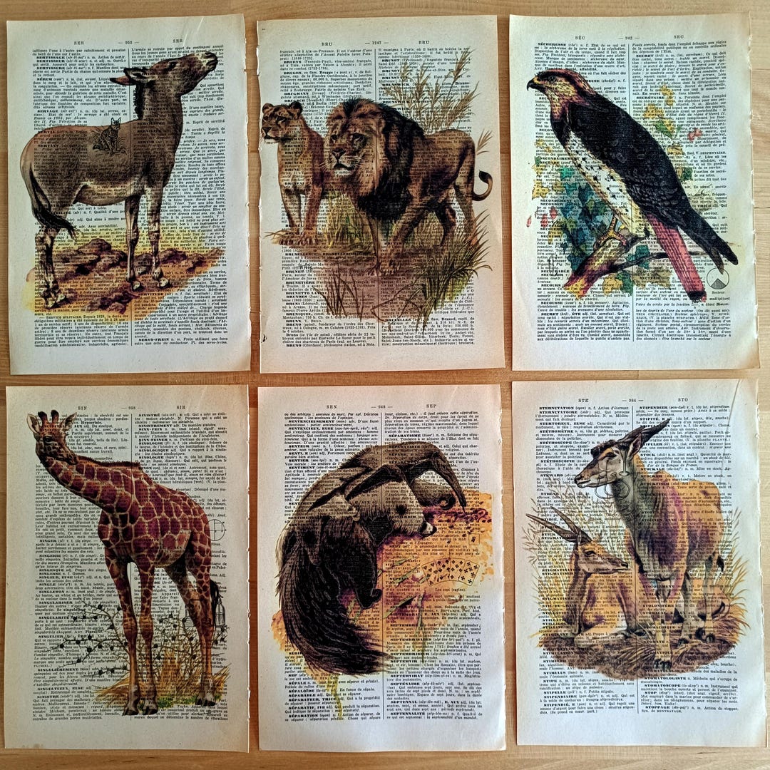 Vintage Animal Dictionary Print Set, Safari Wildlife Wall Art, Antique ...
