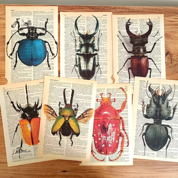 Antique Insect Print - Etsy