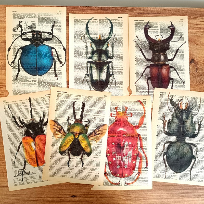 Antique Insect Print - Etsy