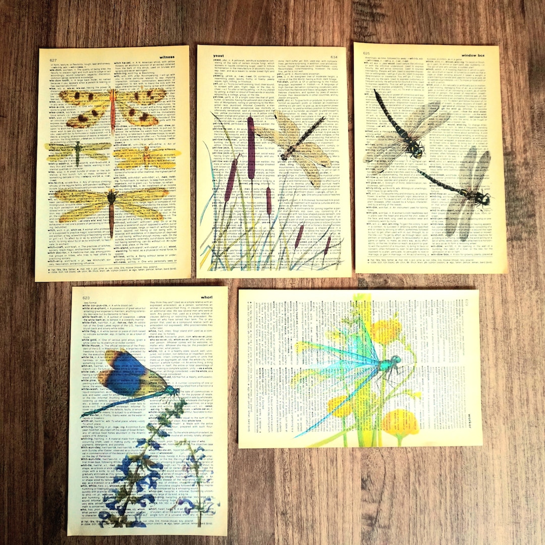 Dragonfly Dictionary Print, Fairy Grunge Room Decor, Dragonfly Vintage ...