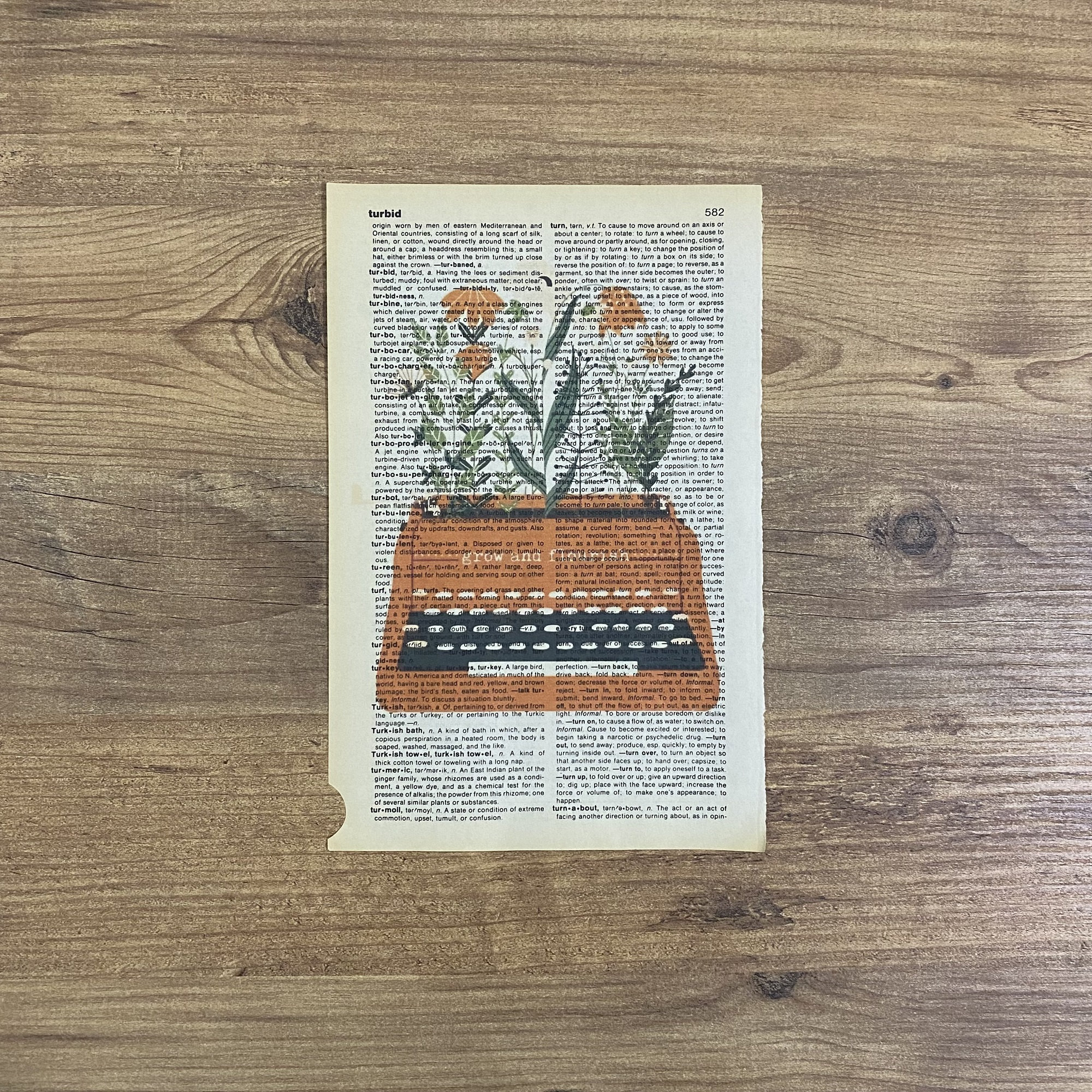 50 Years of Dictionary Page Image Printing Old Typewriter - Etsy