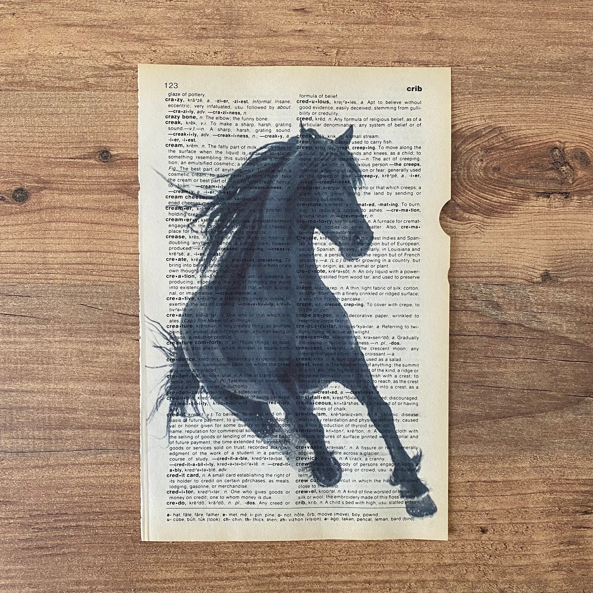 Set of 6 Horse Dictionary Print, Vintage Book Print, Horse Wall Art ...