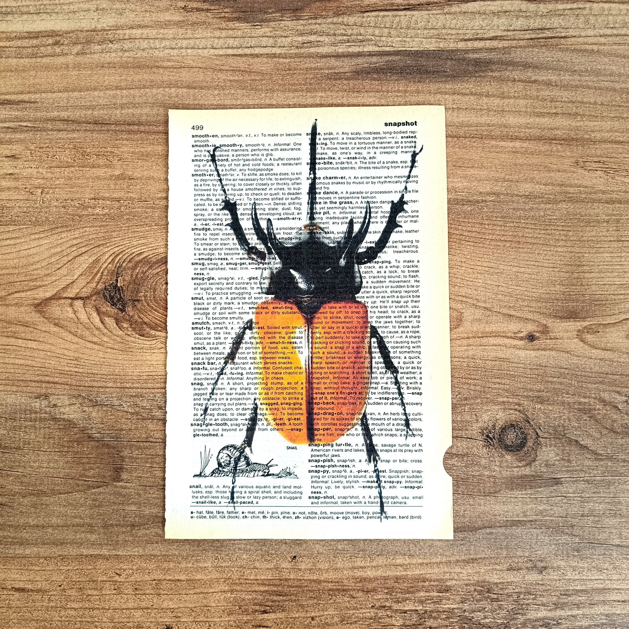 Bugs Prints on Antique Book Page, Set of 7 Insect Art Print on Old ...