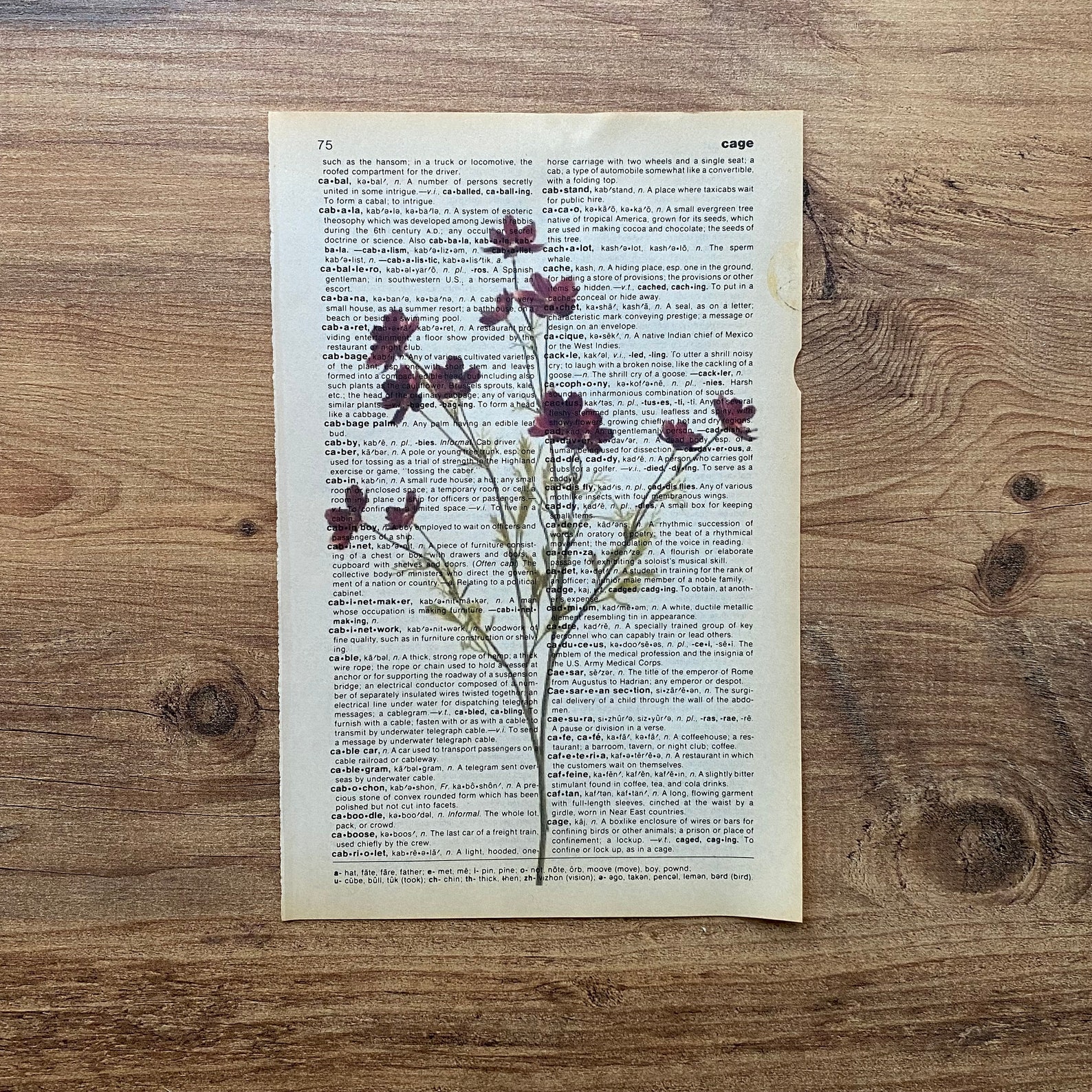 Set of 7 Wildflower Dictionary Print, Floral Collection Print, Antique ...