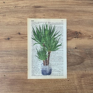 Indoor Plant Print on Dictionary Page, Botanical Art, Kitchen and ...