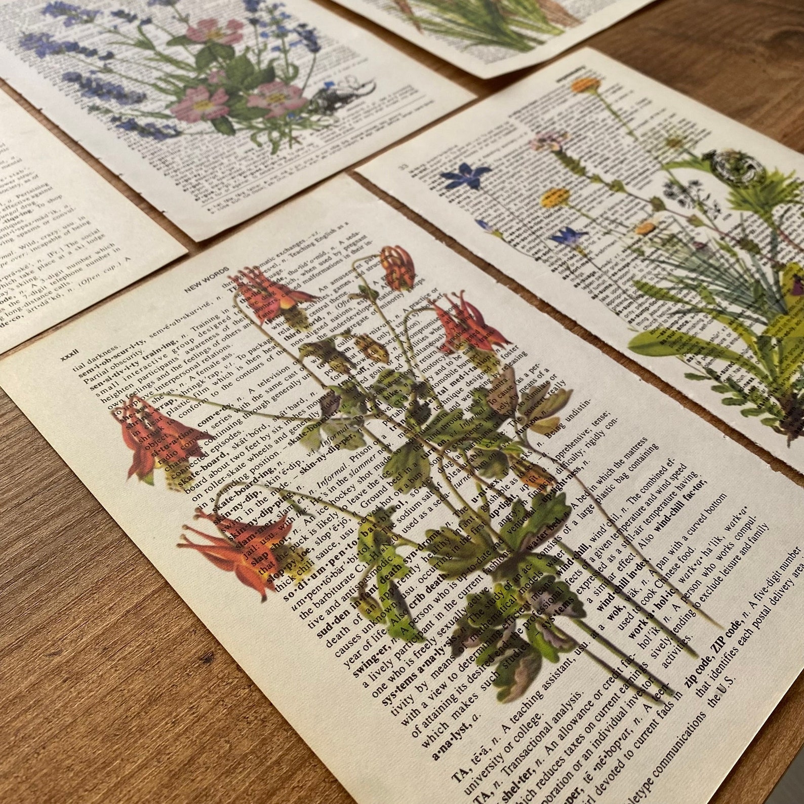 Dictionary Art; Wildlowers, Flower Print, Flower Line Art, Antique ...