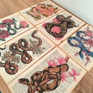 Vintage Poster, Snakes, Gothic Art, Boho Style, Flower Art, Line Art ...