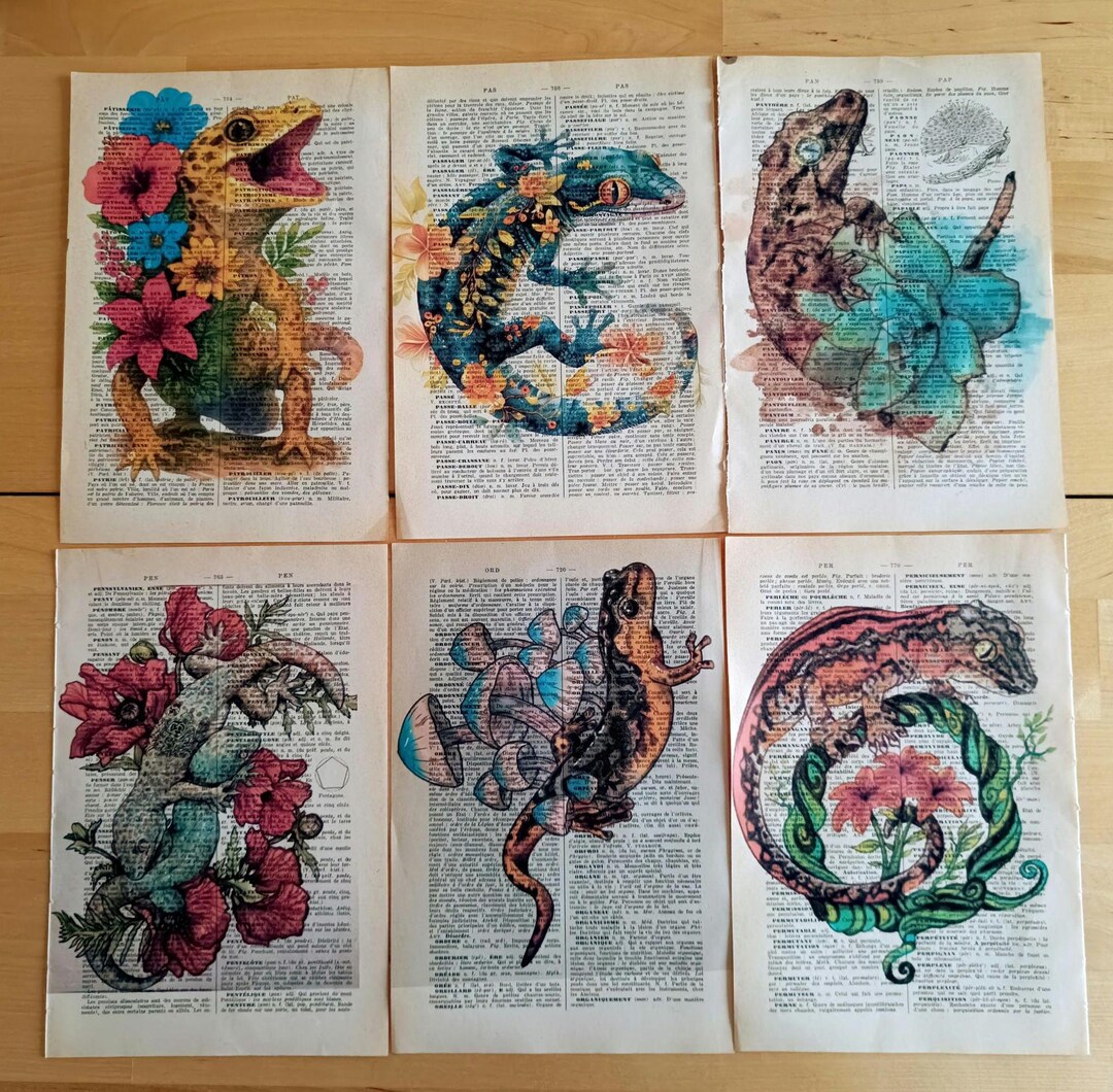 Colorful Floral Gecko Dictionary Print – Lizard Wall Art, Salamander ...