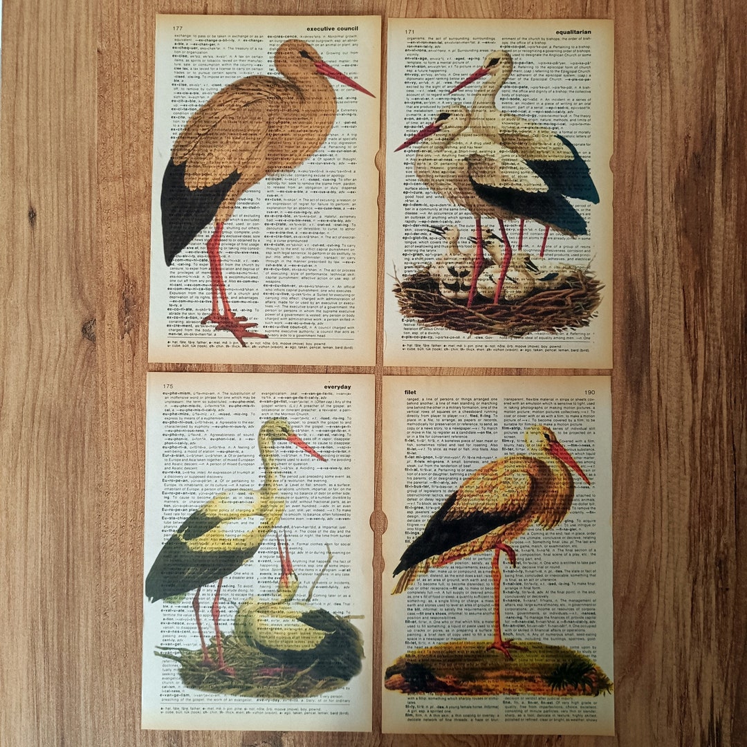 Antique Stork Poster, Gift for Nurse, Labor and Delivery, New Mom Gift ...