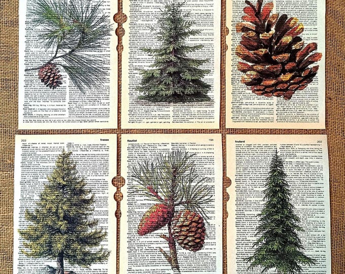 Pine Tree Print Set of 6 Pine Poster Pine Cone Print Forest Art Country ...