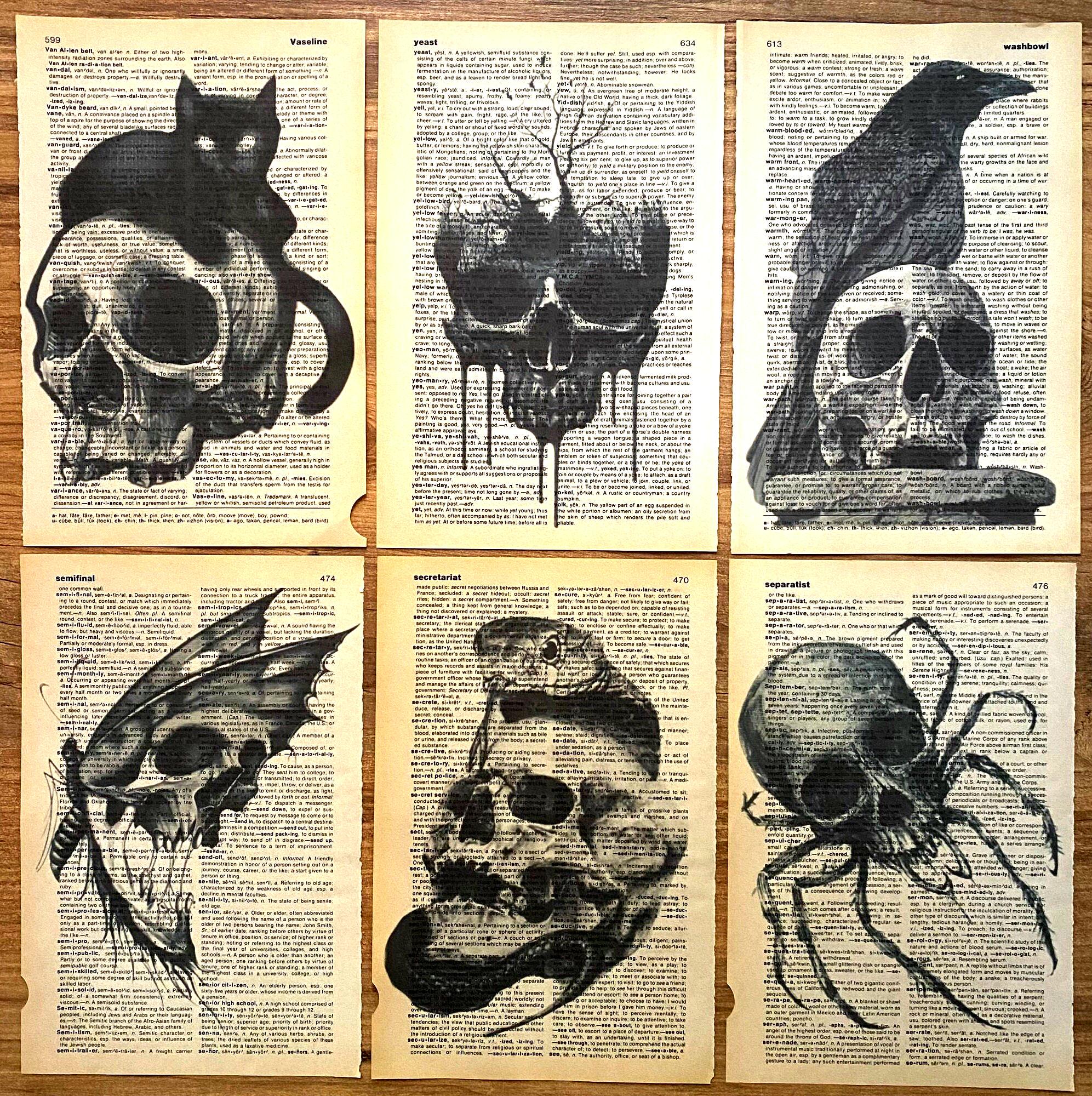 Set of 6 Hallowen Skull, Skull Art, Human Skull, Skull Decoration, Dark ...