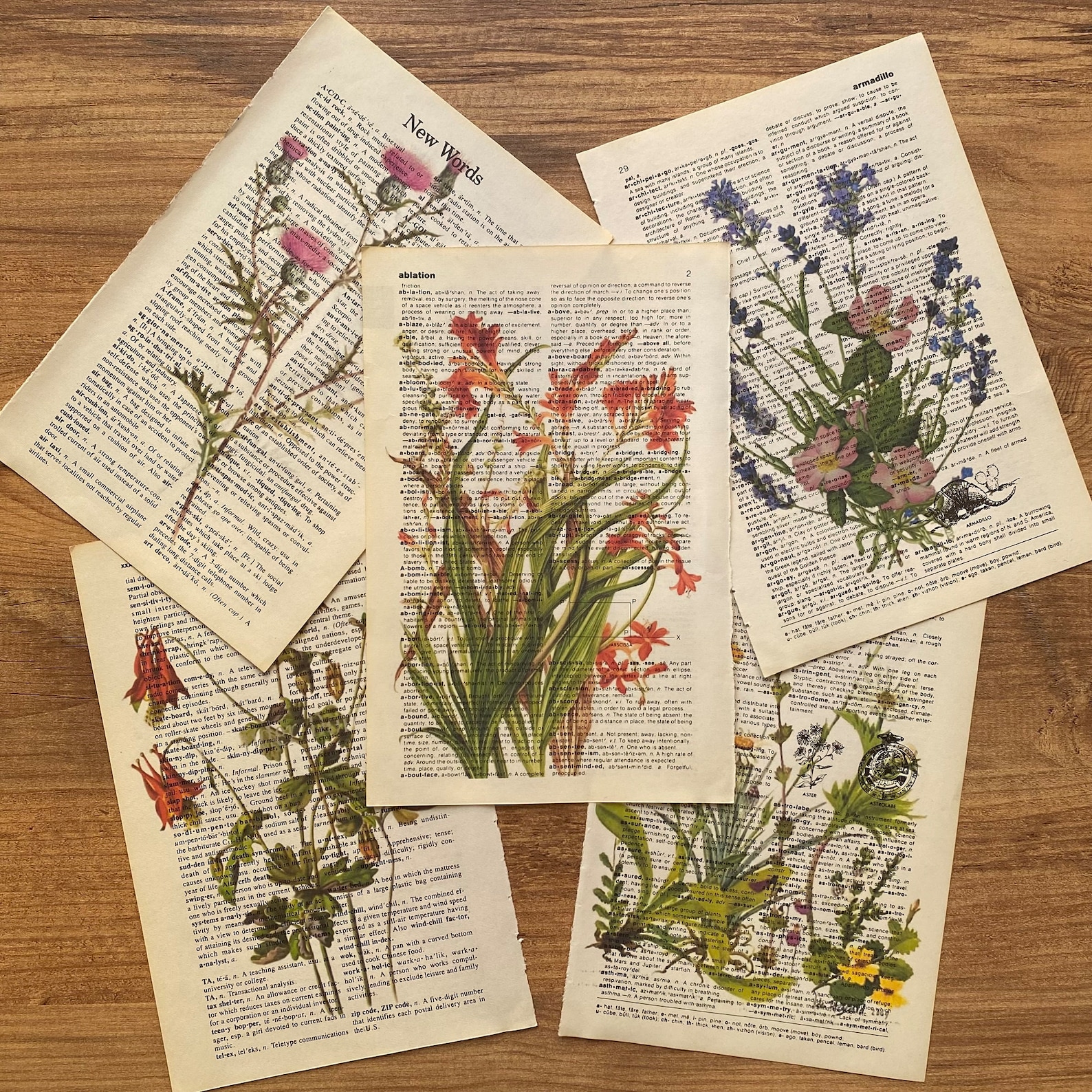 Dictionary Art; Wildlowers, Flower Print, Flower Line Art, Antique ...