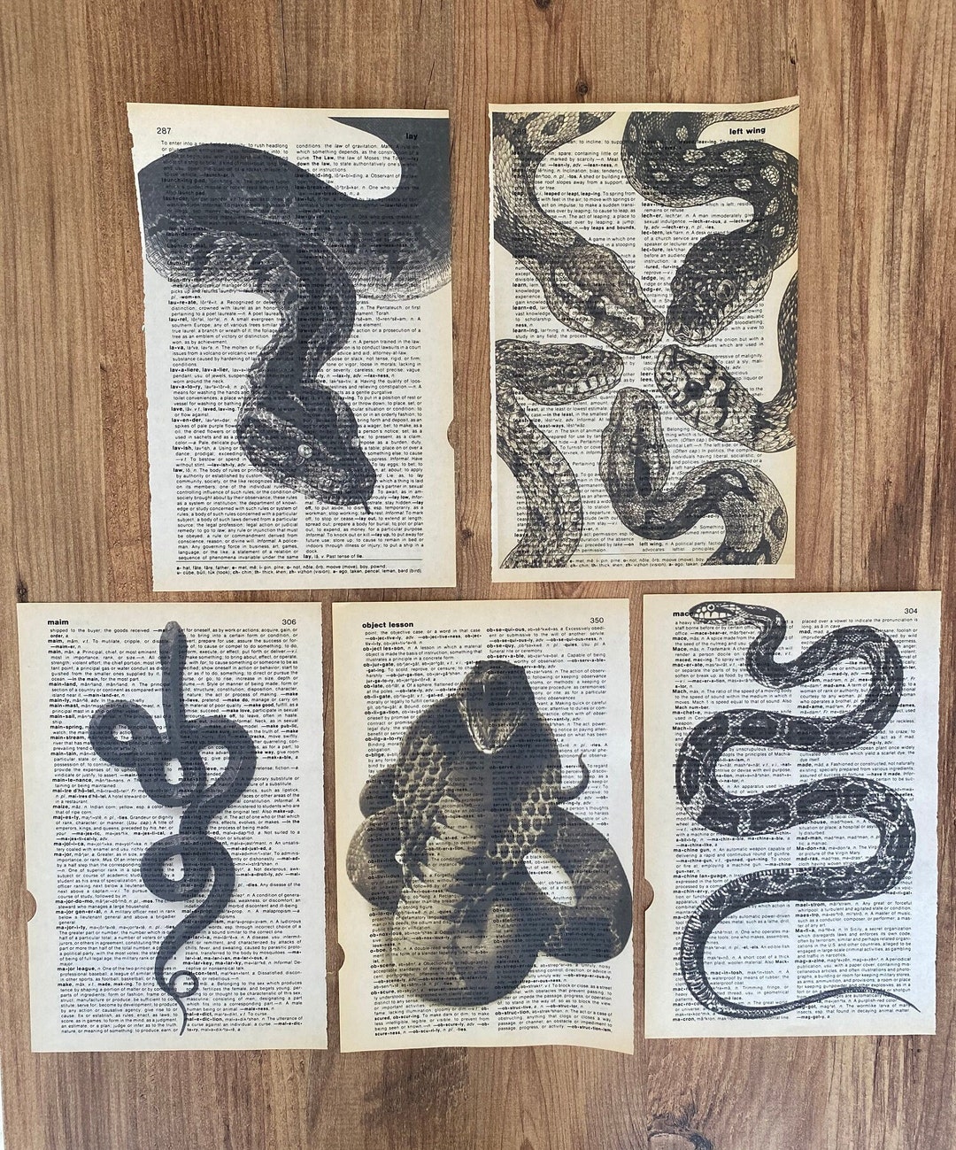 Set of 5 Art Prints on Old Dictionary Page, Snake Theme on Antique Book ...