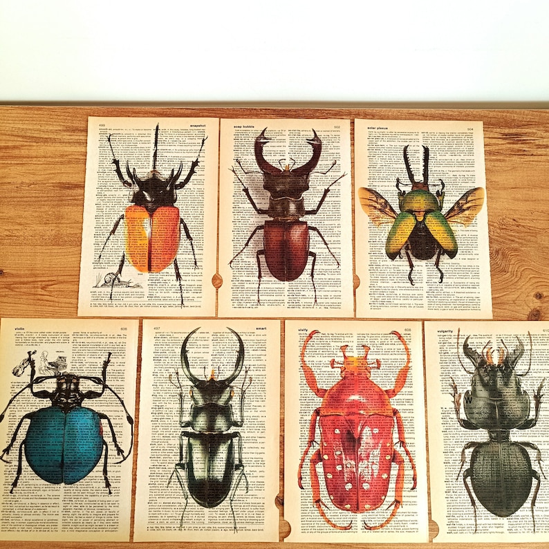 Bugs Prints on Antique Book Page, Set of 7 Insect Art Print on Old ...
