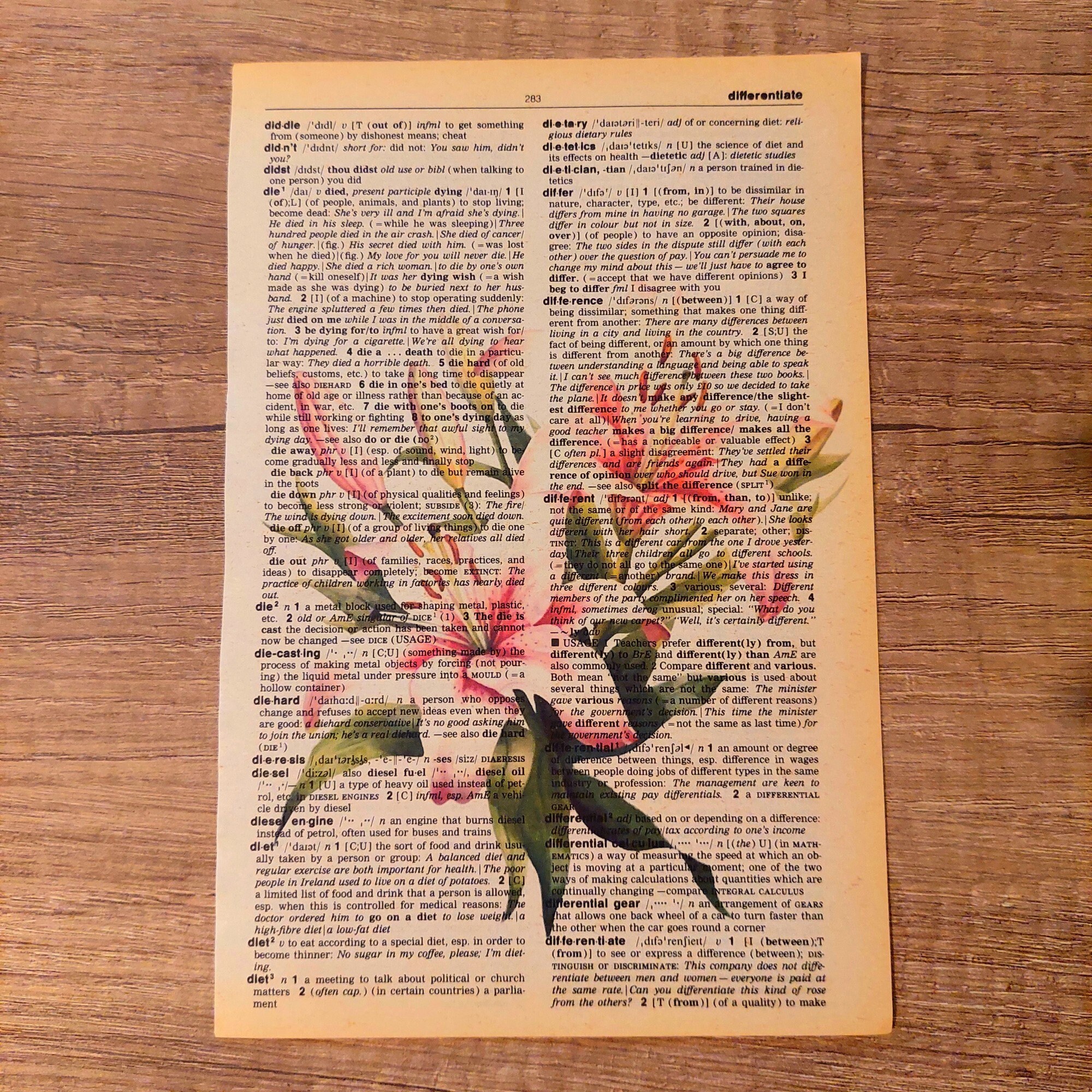Set of 5 Lily Dictionary Print, Lily Wall Art, Lily Watercolor Art ...