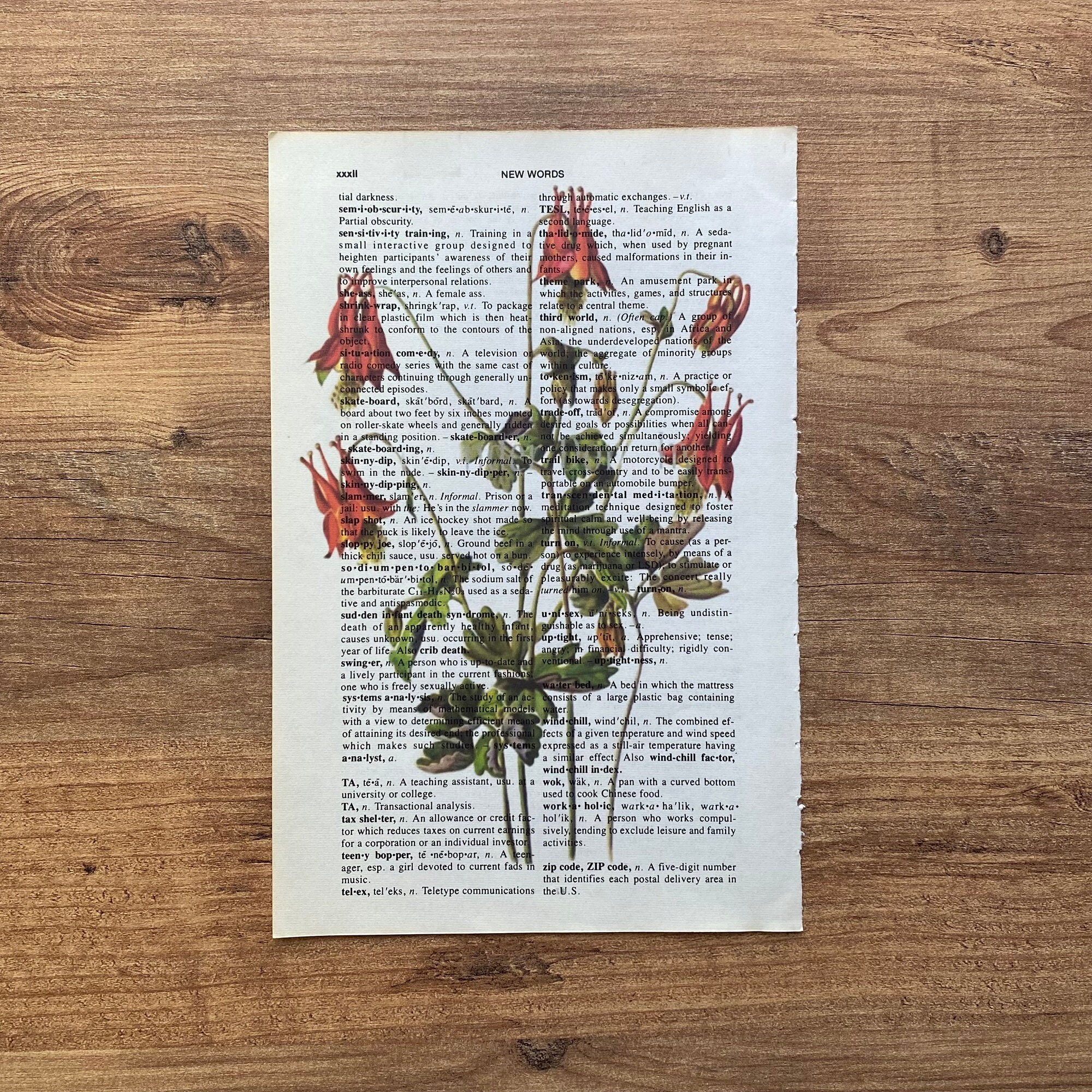Dictionary Art; Wildlowers, Flower Print, Flower Line Art, Antique ...