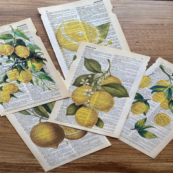 Dictionary Theme - Etsy