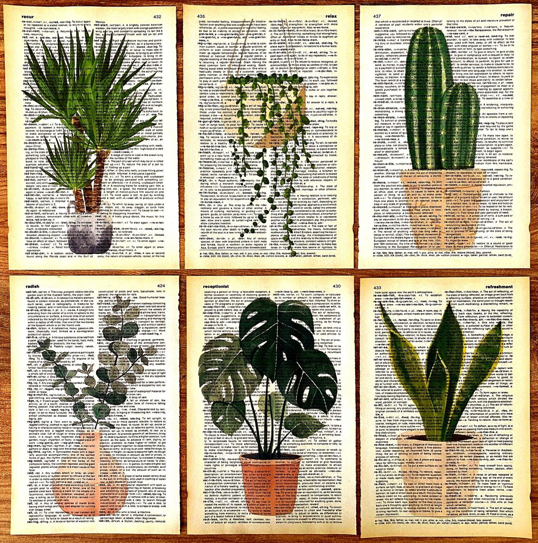 Indoor Plant Print on Dictionary Page, Botanical Art, Kitchen and ...