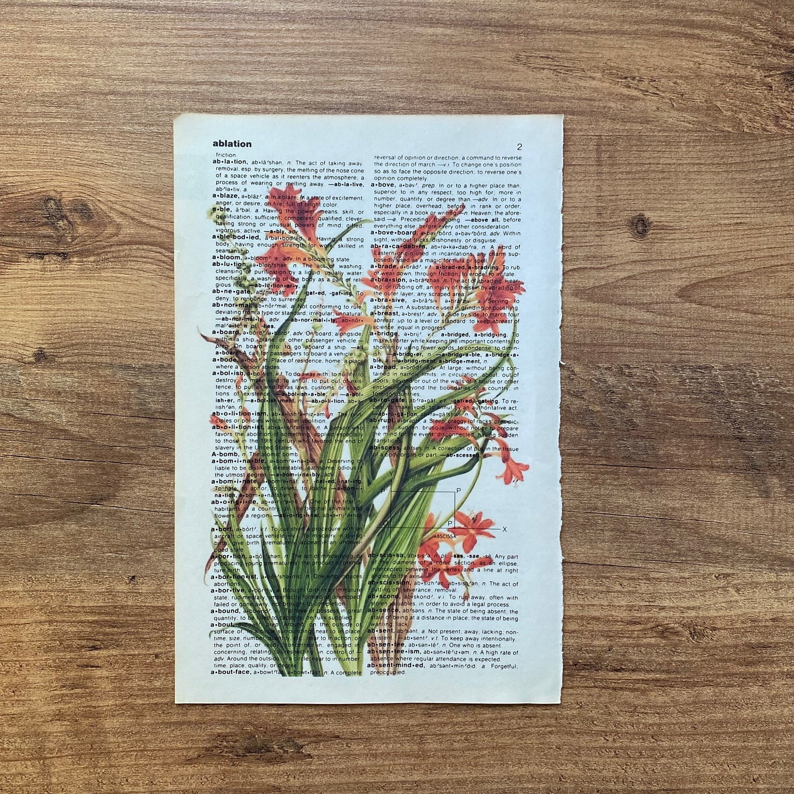 Dictionary Art; Wildlowers, Flower Print, Flower Line Art, Antique ...