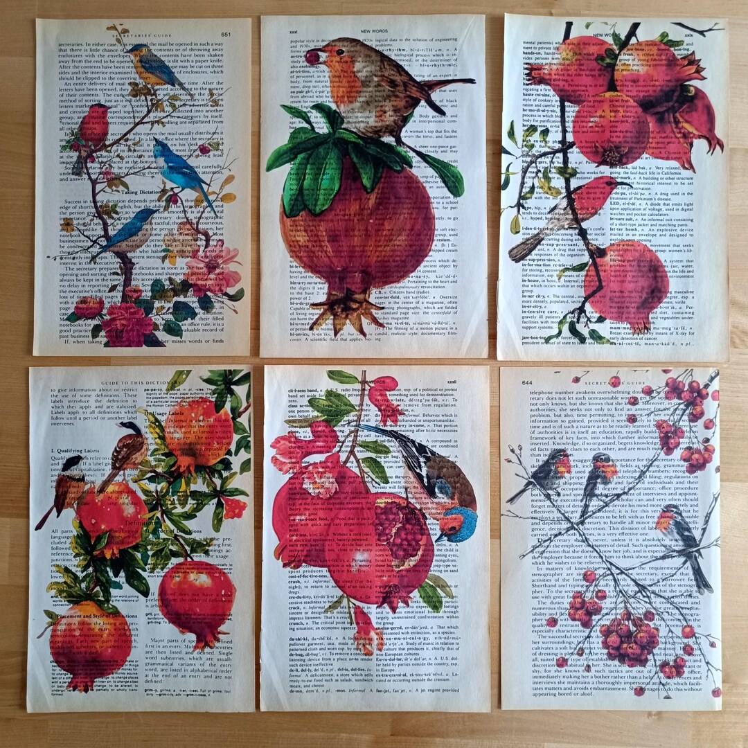 Vintage Dictionary Wall Art Set of 6, Floral Bird & Pomegranate Art ...