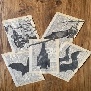 Set of 5 Bat Prints Dictionary Page, Bat Theme on Book Page, Romantic ...
