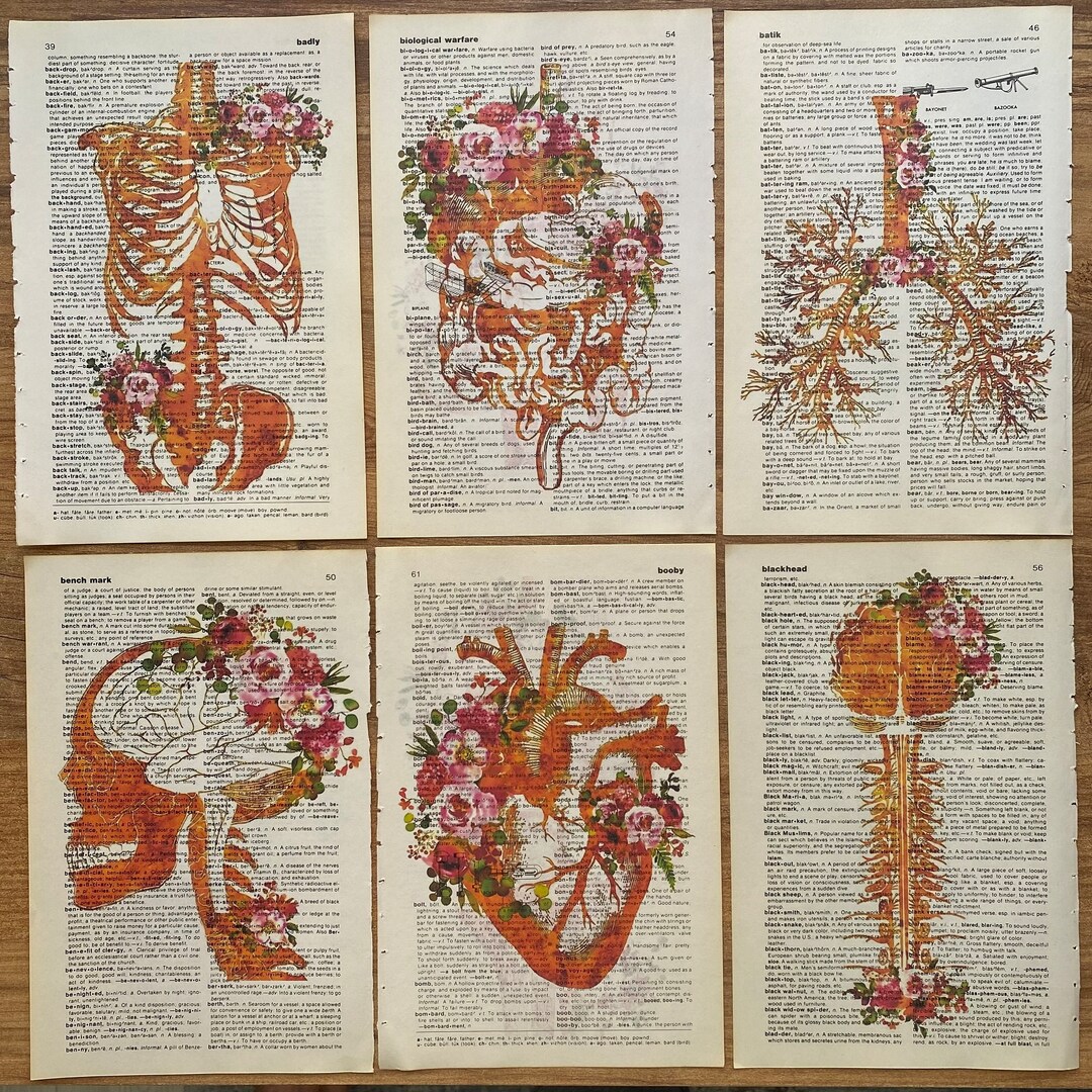 Anatomy Art, Dictionary Pages, Human Anatomy, Medical Print, Doctor ...