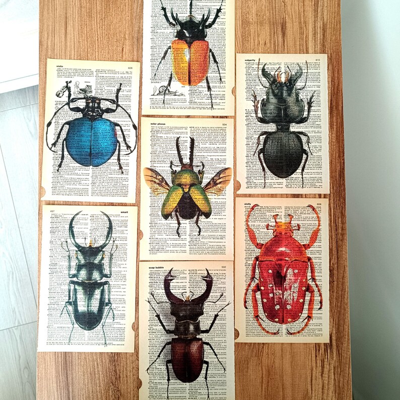 Bugs Prints on Antique Book Page, Set of 7 Insect Art Print on Old ...