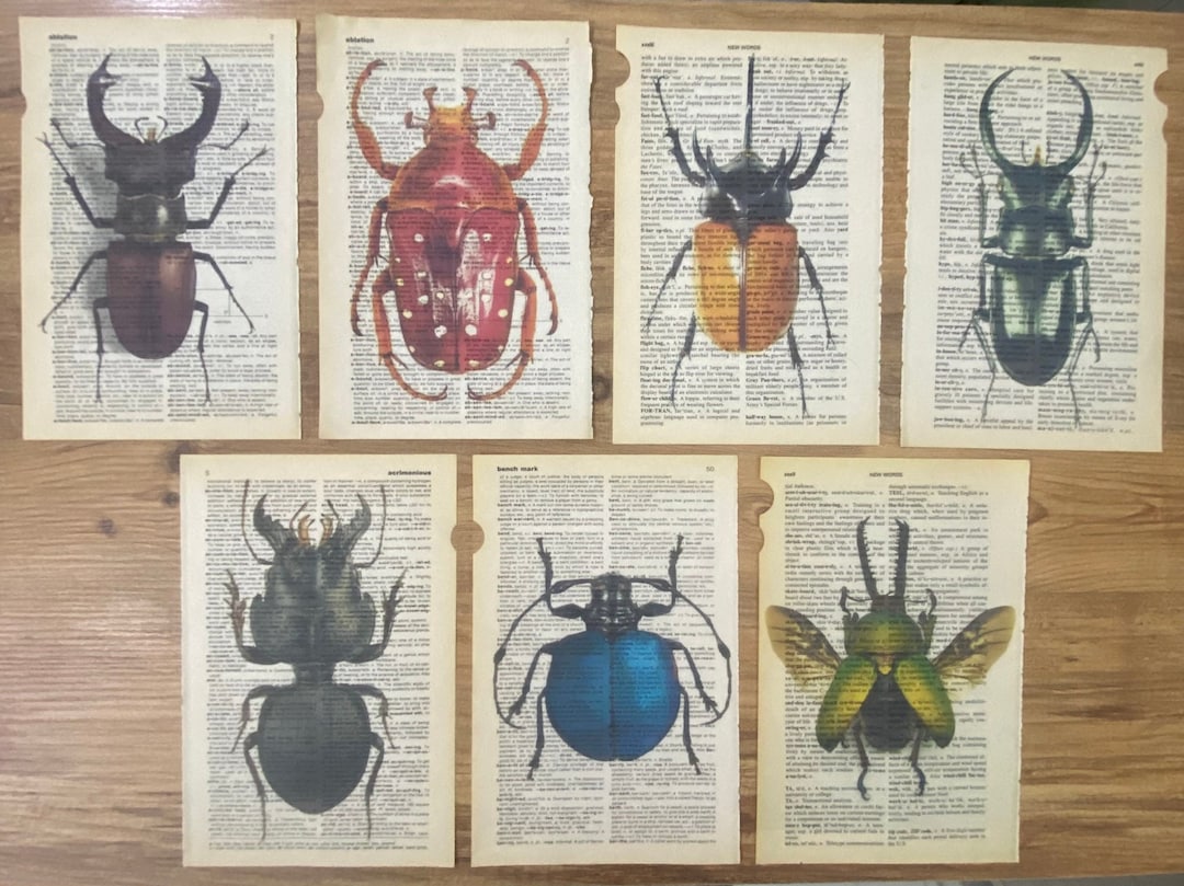 Bugs Prints on Antique Book Page Set of 7 Insect Art Print on - Etsy