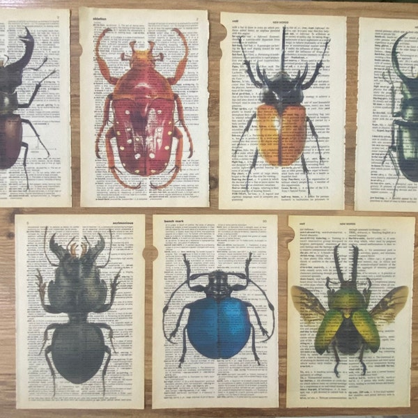 Old Beetle Print - Etsy