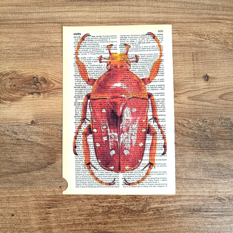 Bugs Prints on Antique Book Page, Set of 7 Insect Art Print on Old ...